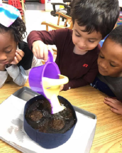 Seedsheets Review 2023: The Ideal Gardening Kit for Urbanites?